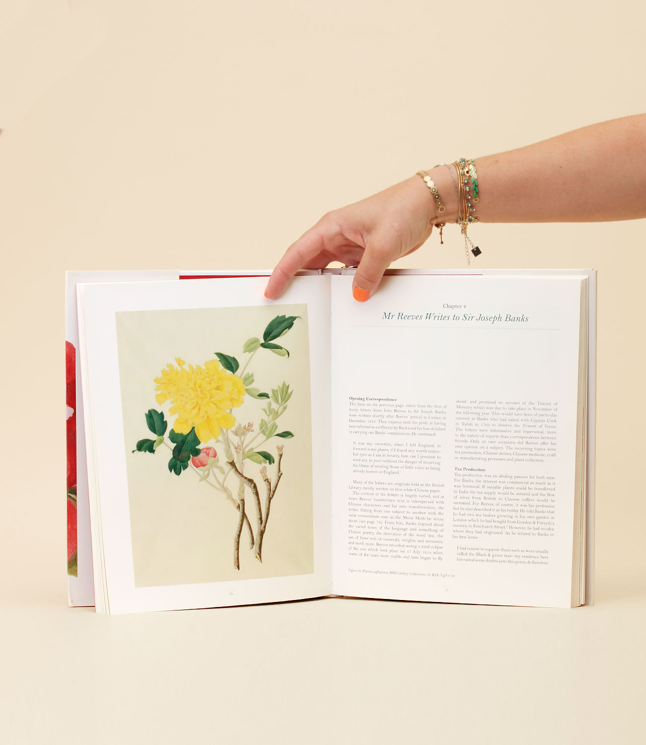 John Reeves - Pioneering Collector of Chinese Plants and Botanical Art ...